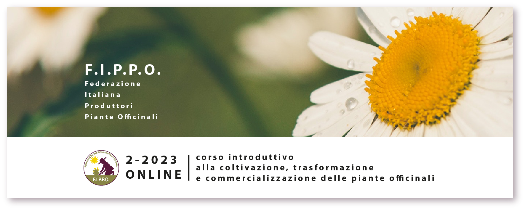 Corso introduttivo – F.I.P.P.O.