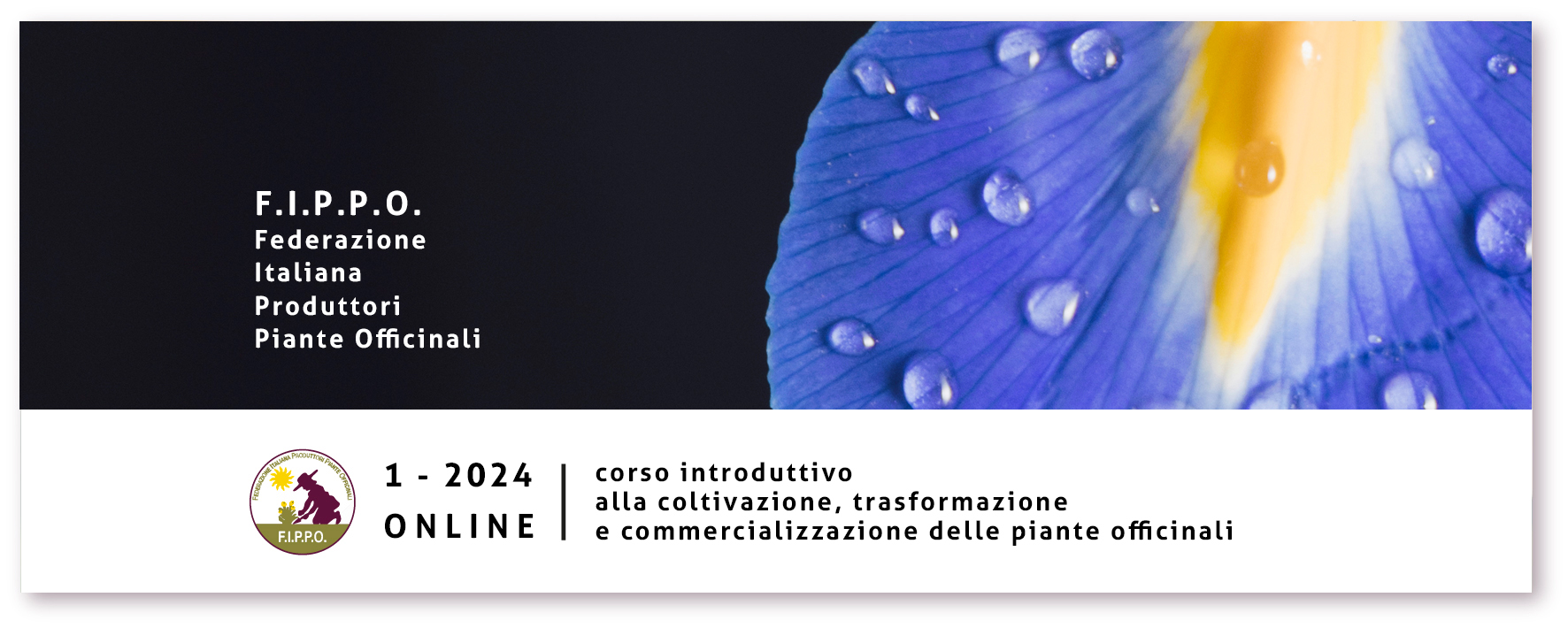 Corso introduttivo – F.I.P.P.O.