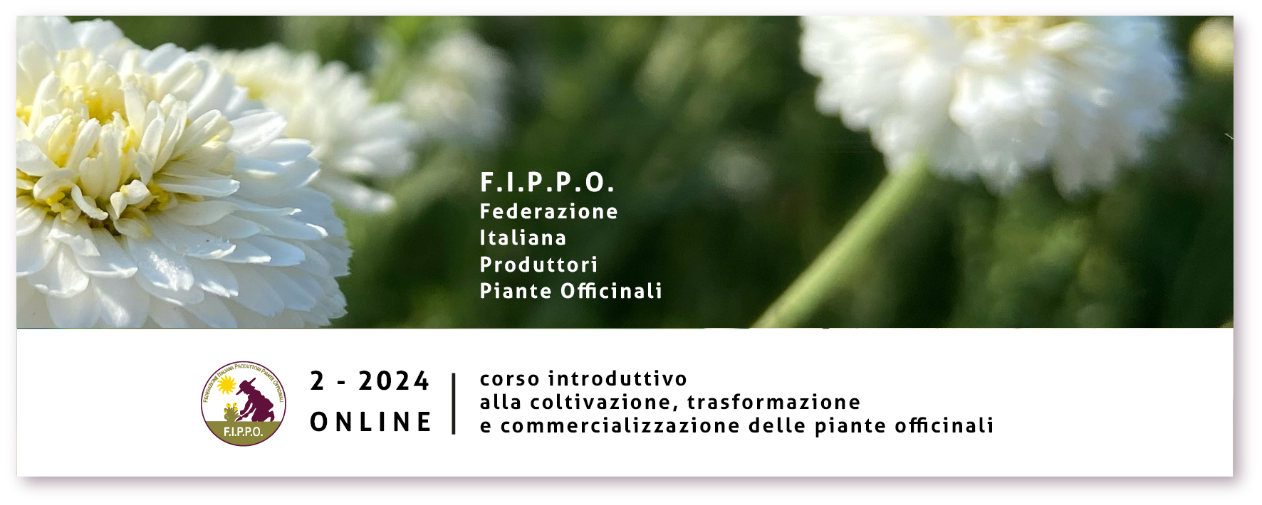 Corso introduttivo – F.I.P.P.O.