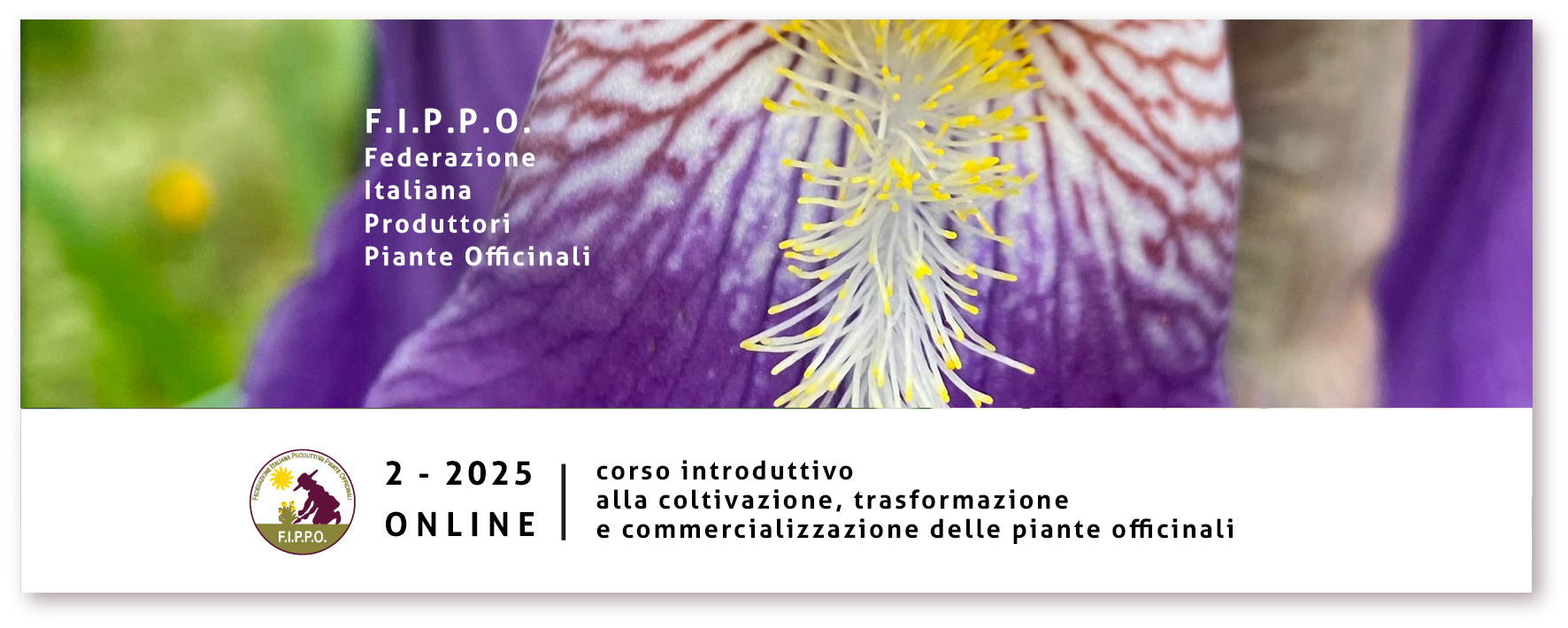 Corso introduttivo – F.I.P.P.O.